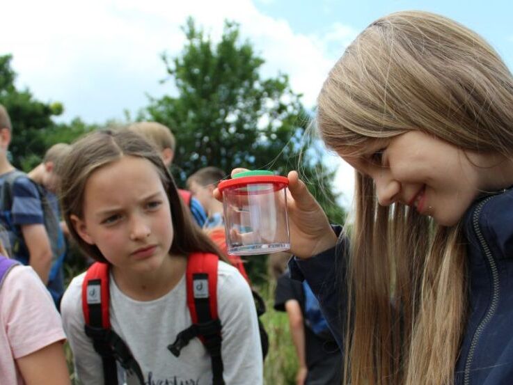Brohmer und Helpter Berge - Vorpommern